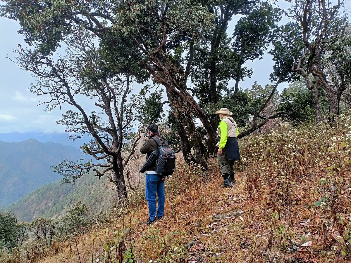 Exploring the captivating world of art with IIP's open class amidst the ...